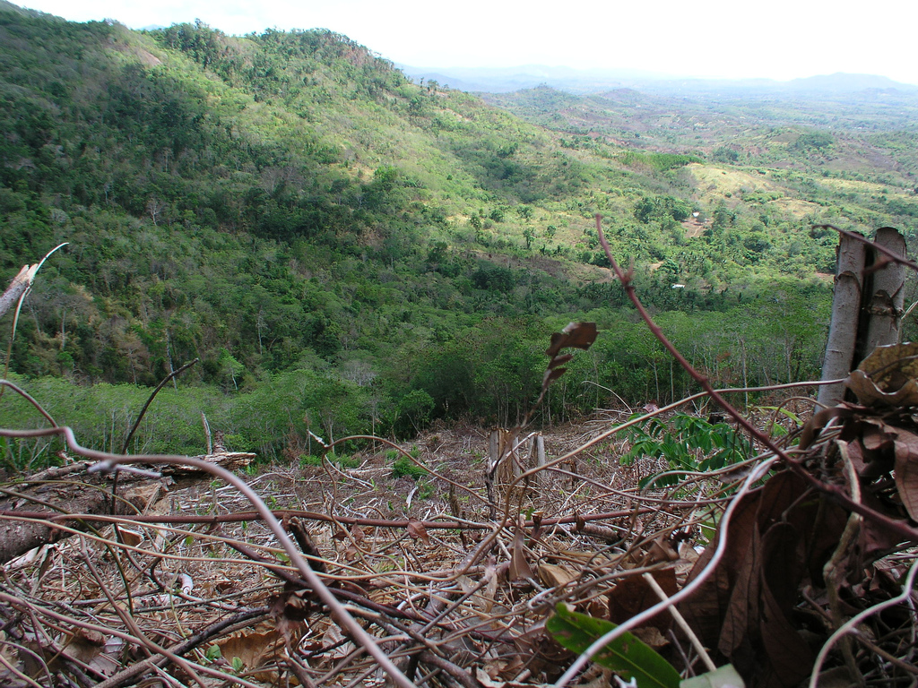 kaingin system - philippin news collections