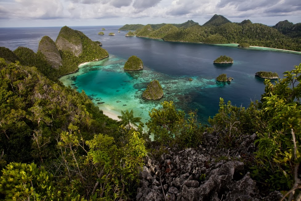 Aquarium News and Updates