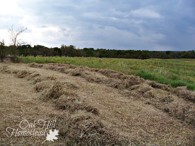 Baling Hay by Hand - Oak Hill Homestead