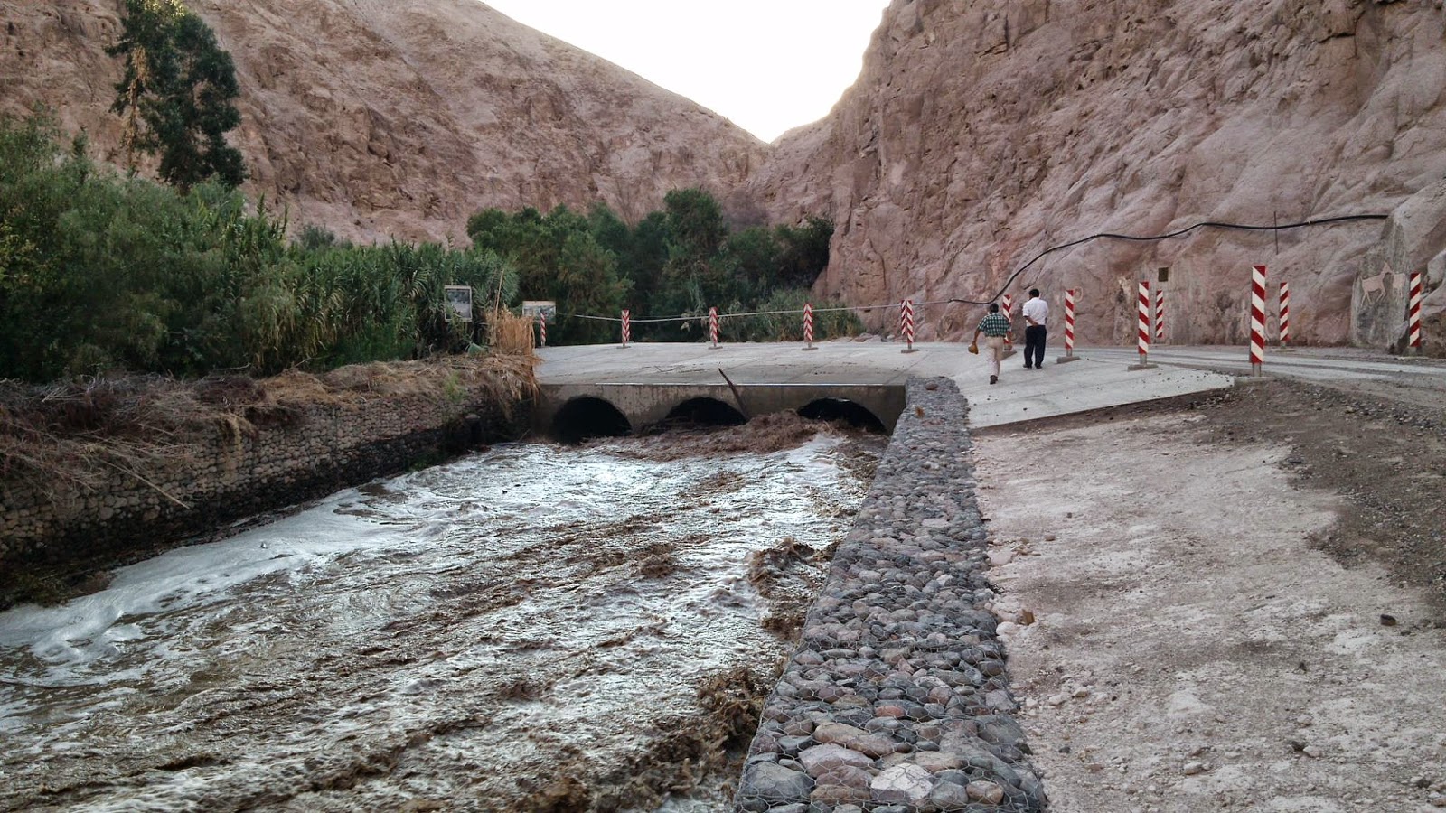 RadioInfo Arica Chile: Codpa y Esquiña. Region de Arica y Parinacota