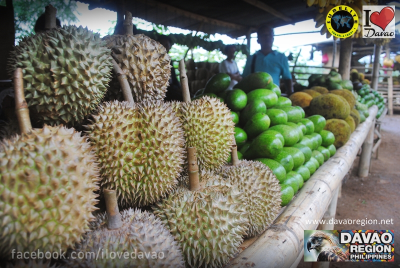 Fresh Fruits from Davao Region - Davao Region Philippines Southern Mindanao