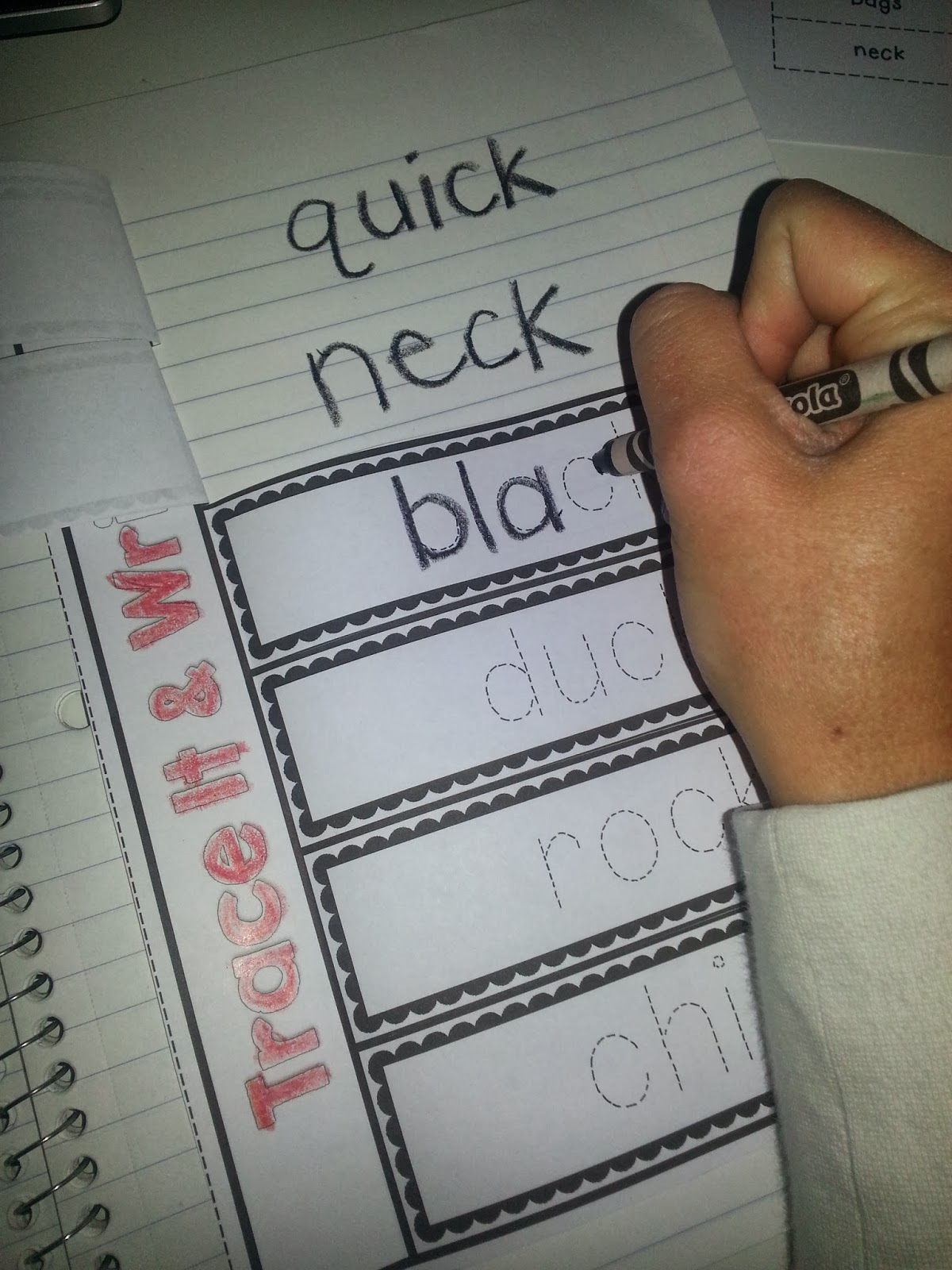 Phonics Interactive Notebook