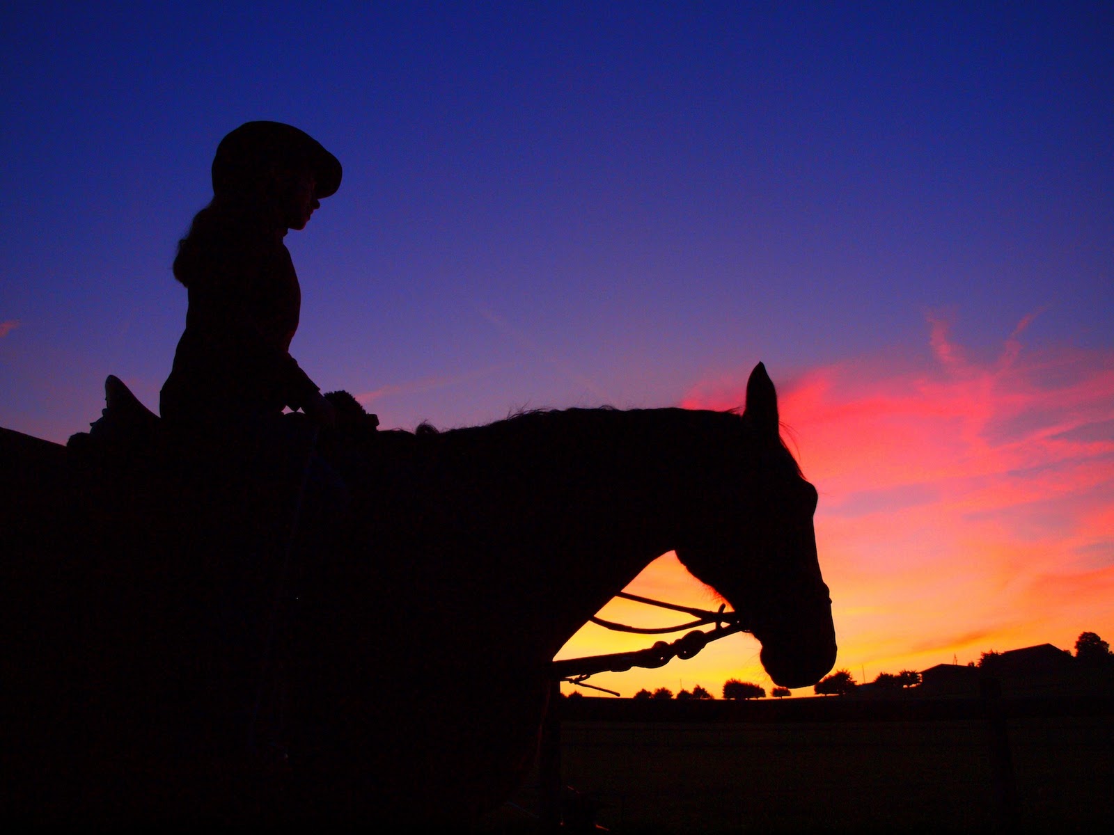 Schooling From The Heart Summer Goodbye Fast forward schooling-from-the-heart-summer-goodbye-fast-forward