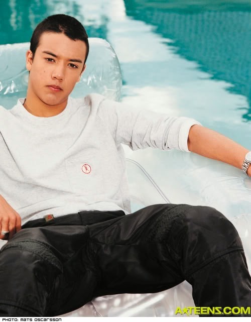 NOTICIAS Y EFEMERIDES MUSICALES Y DEL CINE: A-TEENS, UN 29 DE OCTUBRE, NACE EL INTEGRANTE AMIT ...