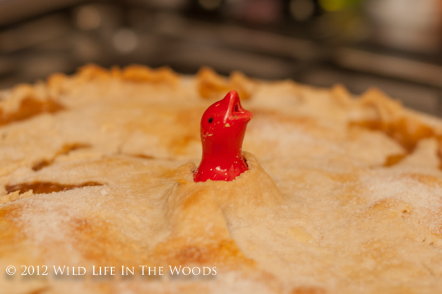 I Know Why the Caged Pie Bird Sings - That Susan Williams