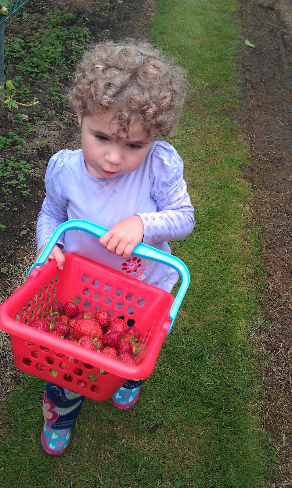Pick Your Own - A Day Out Fruit Picking - Emmy's Mummy