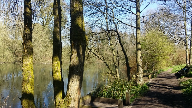 Lucy's Wednesday walks: Himley to Baggeridge - a popular Black Country walk