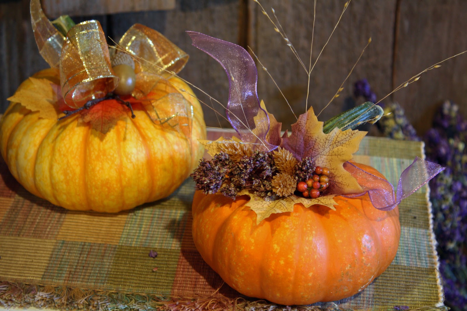 The Farm: October Pumpkins