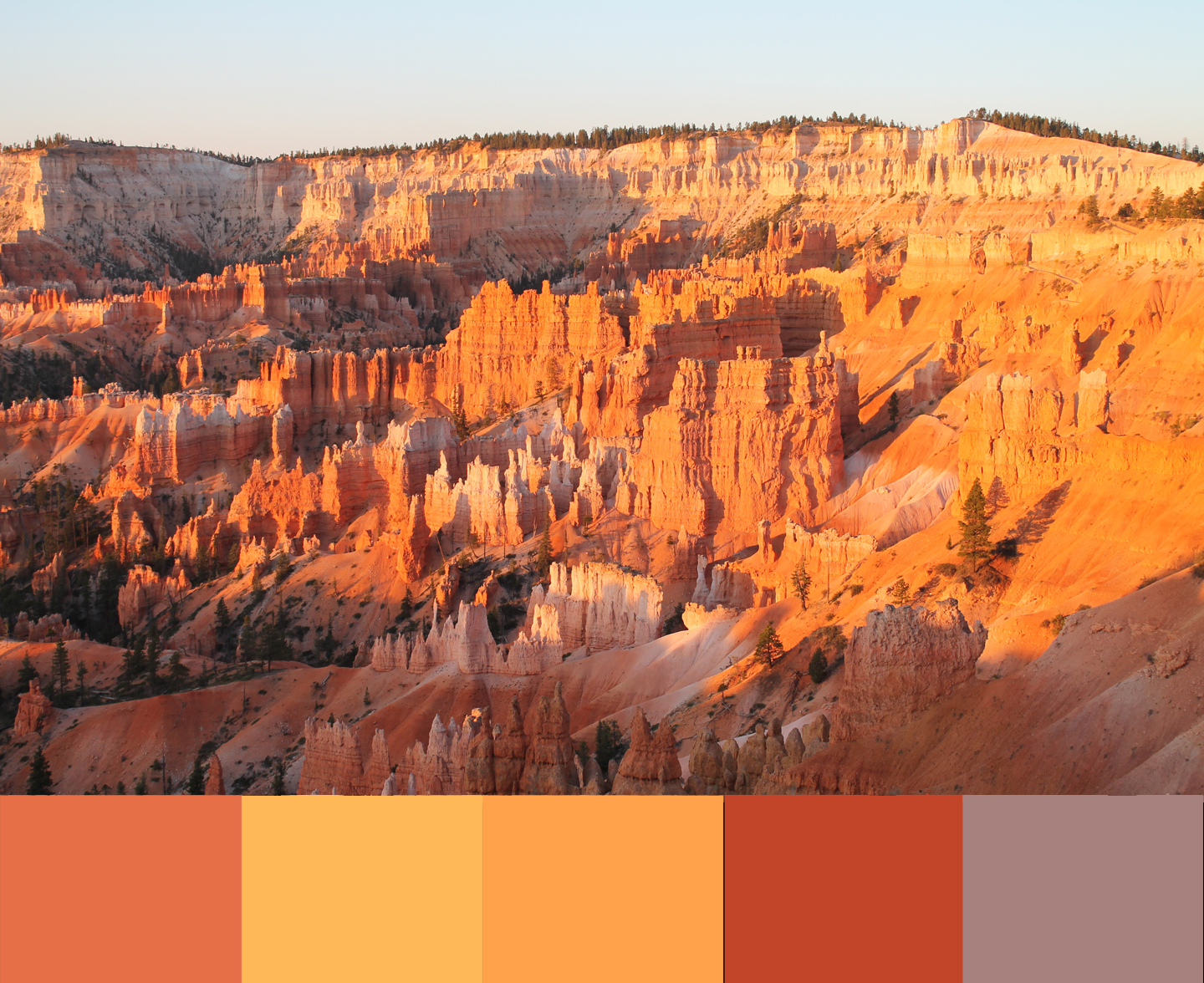 Taken by the Hand: Southwestern Color Palettes