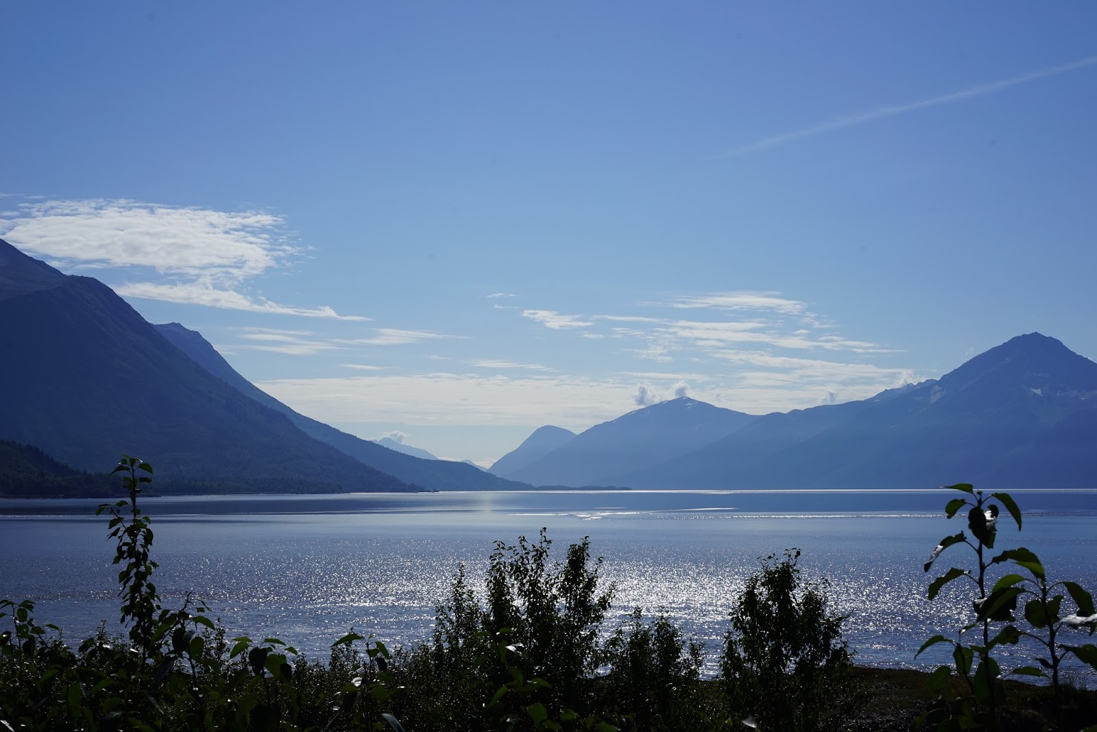 Lost But Loving It...In Alaska!: Baby Steps