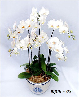 Bunga Meja Anggrek Bulan - Toko Bunga | Florist Jakarta | Toko Bunga ...