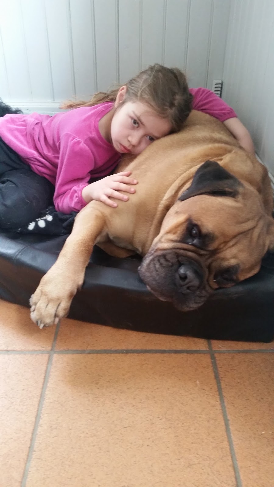 Steve reflekterar: Glad Påsk!