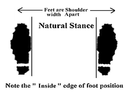 Tuite Jutsu (Personal training/teaching methodologies in Te): The ...