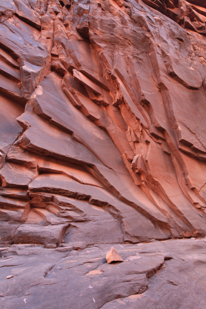 Earthly Musings - My Travel and Geology Blog: Spring Wildflowers and ...