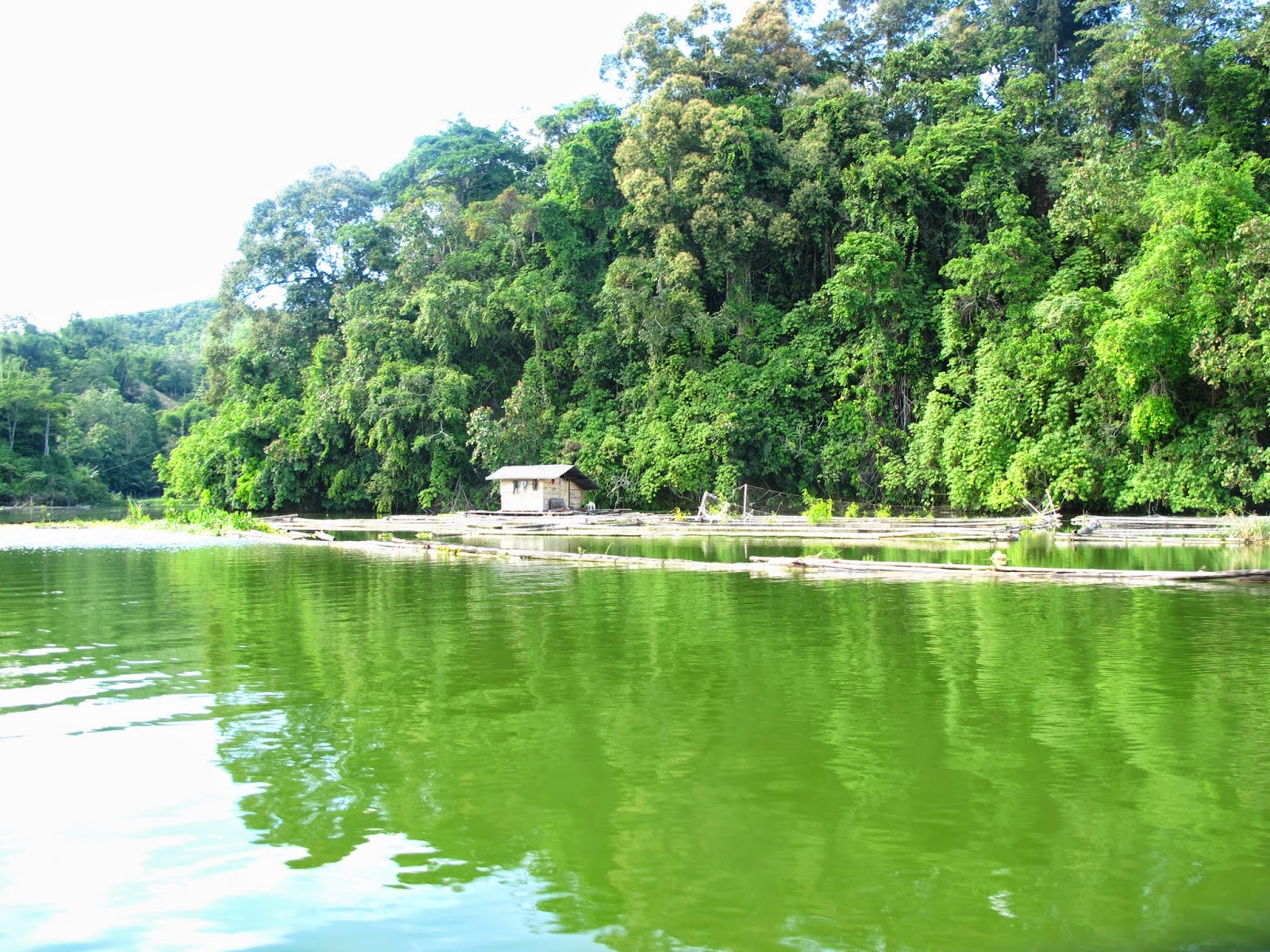 Boating around the lake from Punta Isla Lake Resort