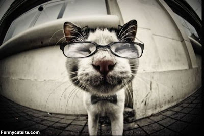 Acerca de la superdotación y el talento: mayo 2011