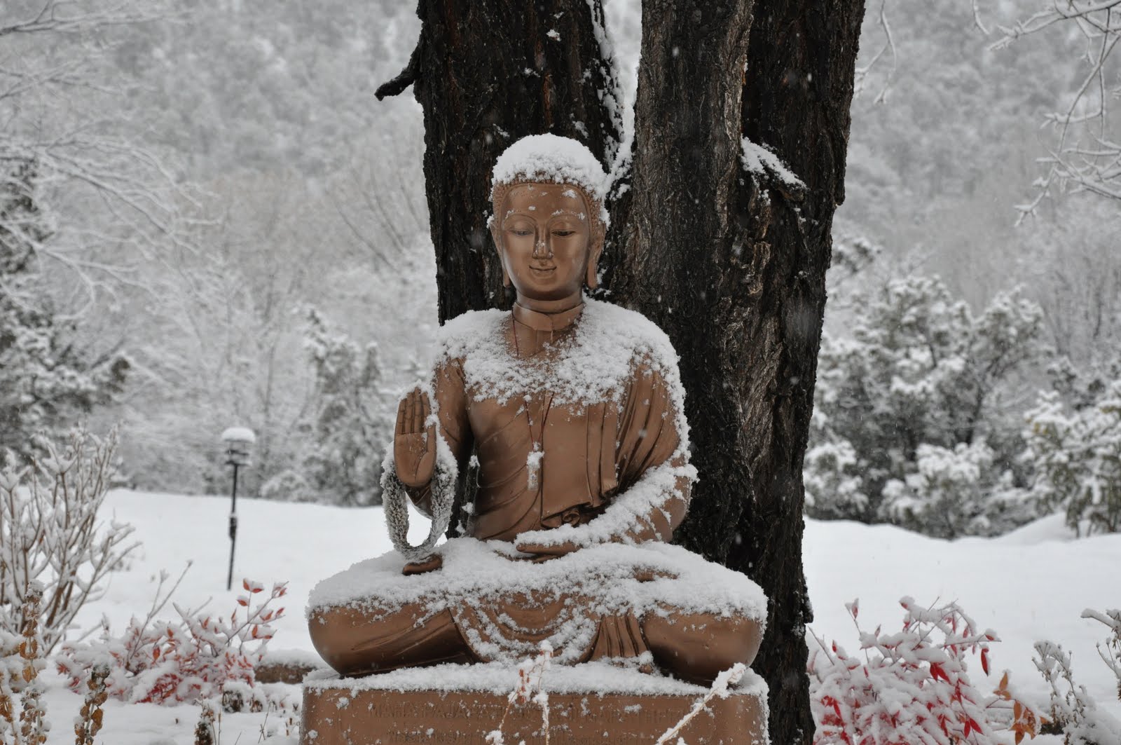 Savvy Advocate Mom and More: Tranquil Thursday: Zen Snow