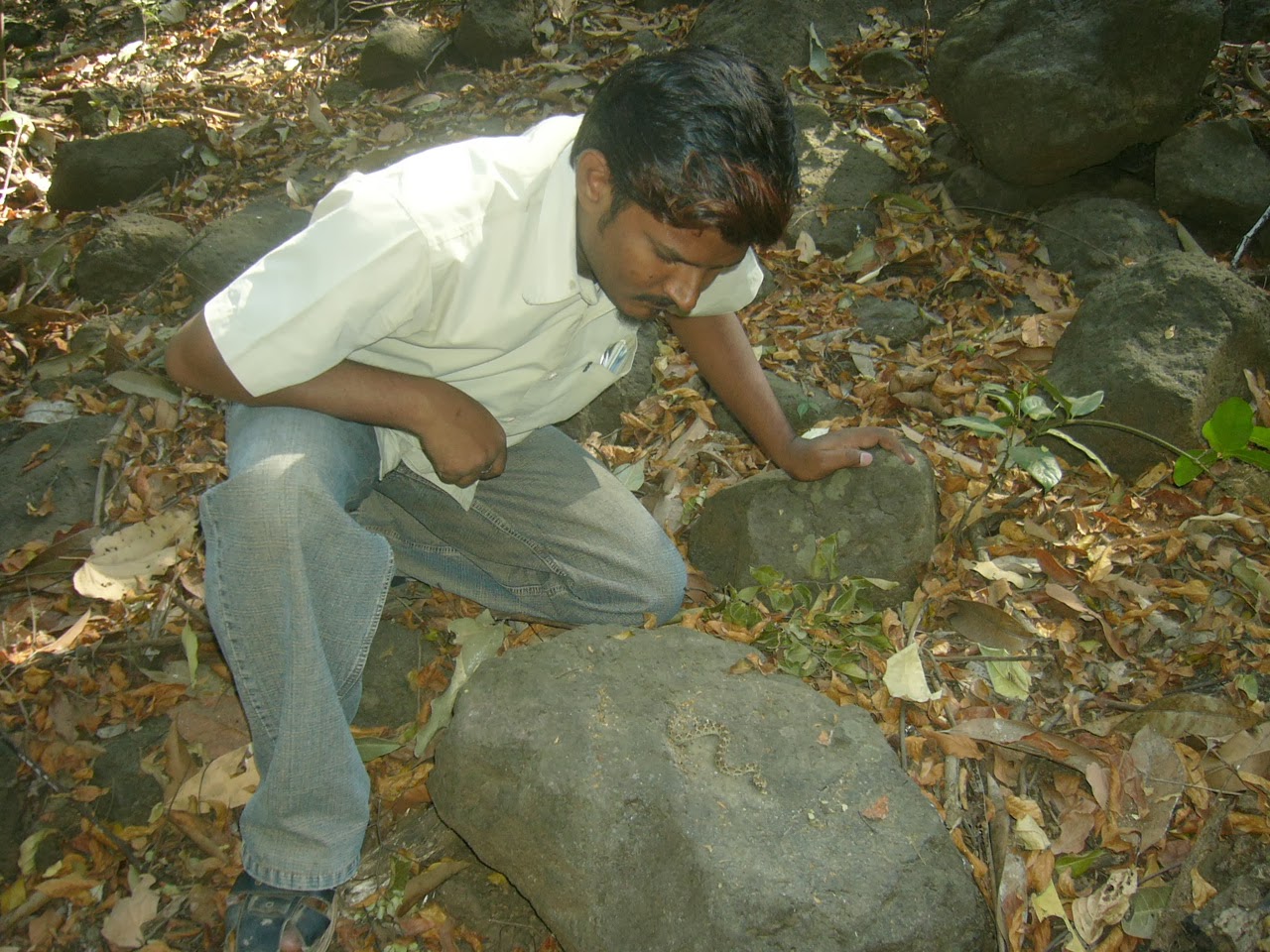 Sunish Subramanian Kunju : Sunish Subramanian Kunju Activities Photographs