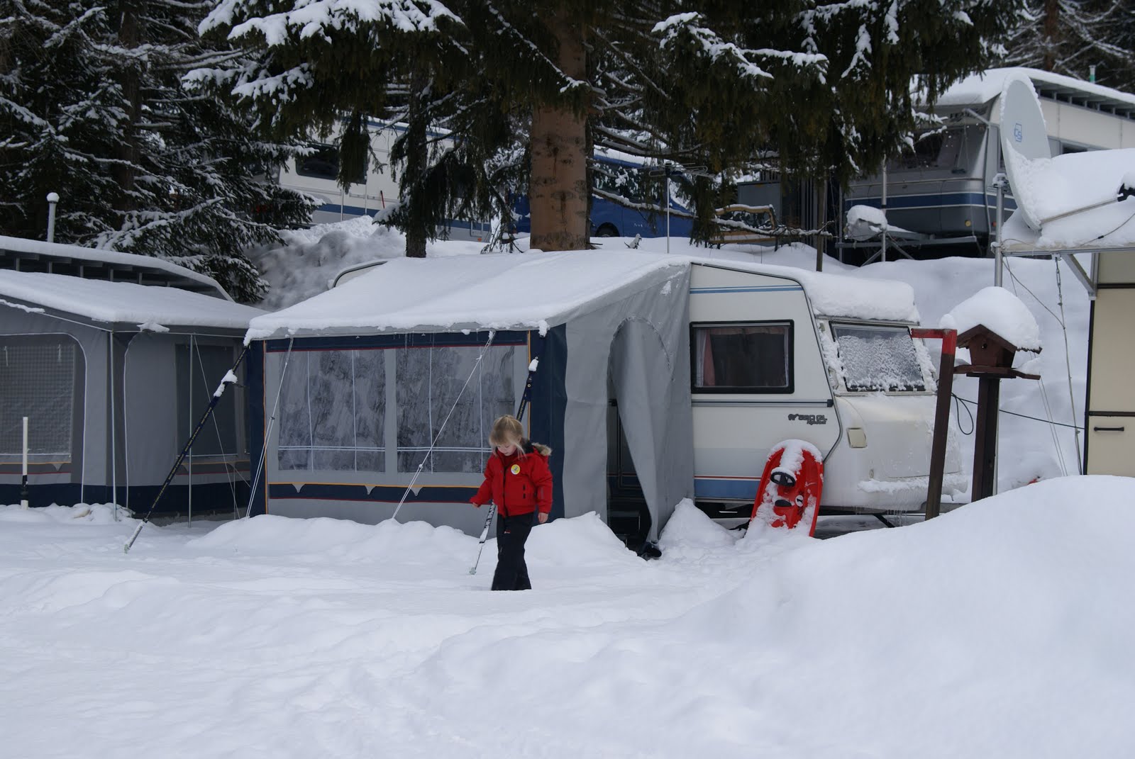 Polarvognen: Hvem er vi?