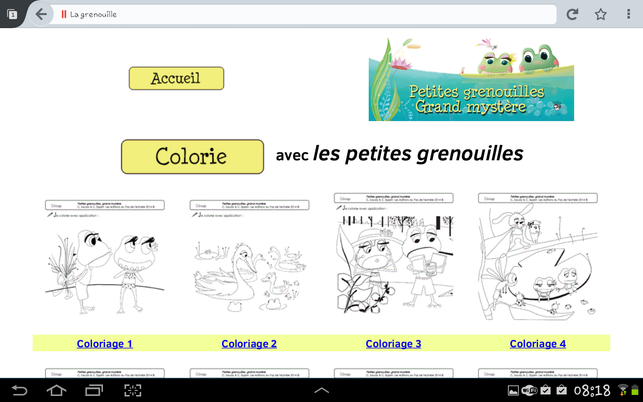 Les lectures de Sanléane: Petites grenouilles, grand mystère