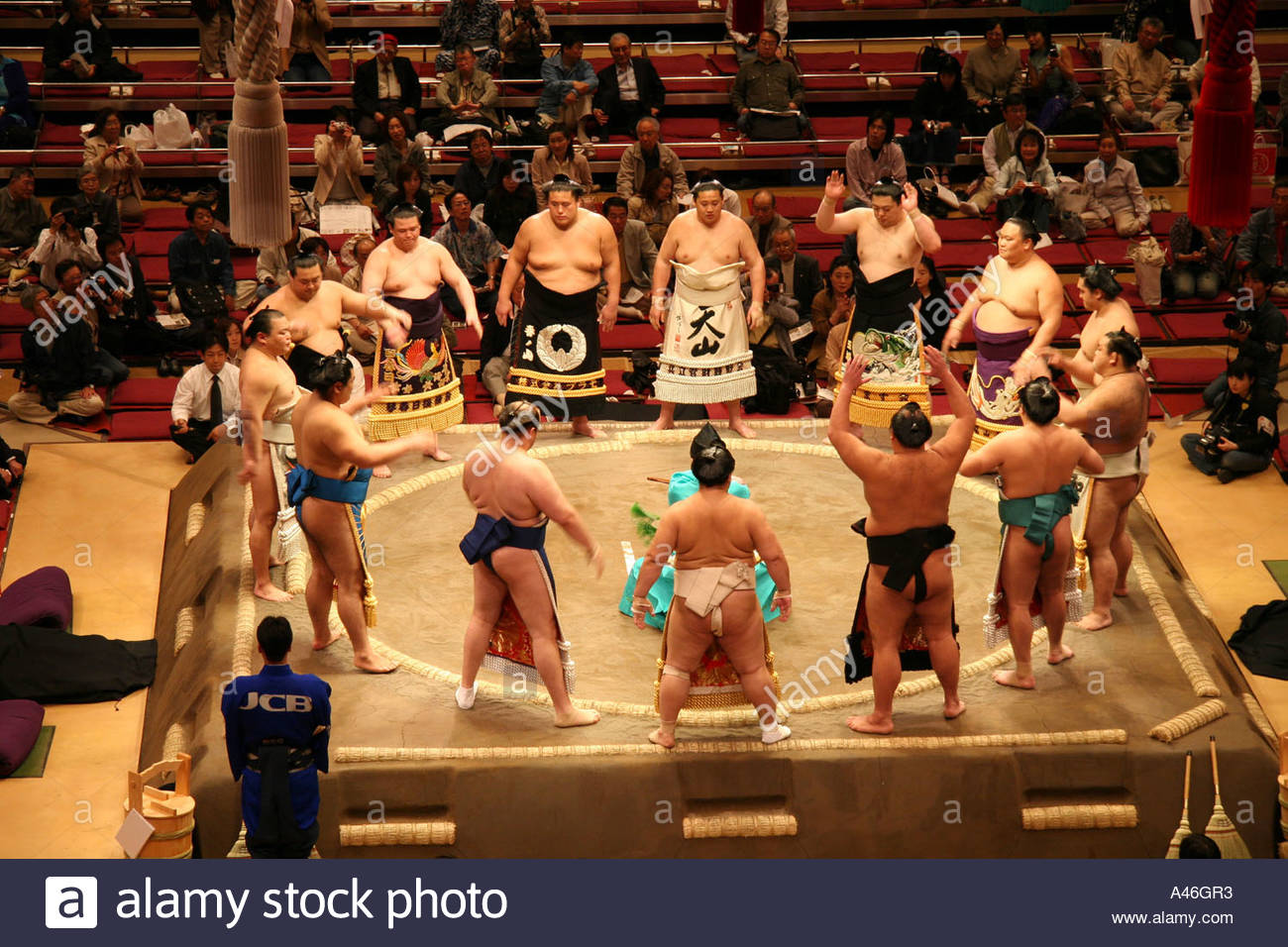 sumoringer - Germany News Collections