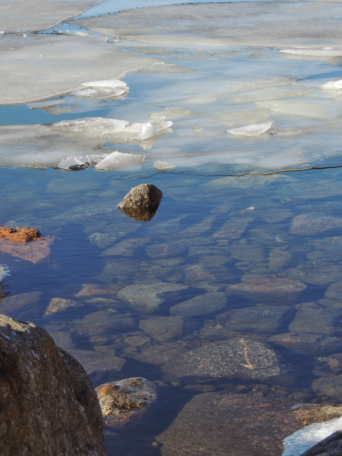 Gröna anemone: Stenar och is vid Replot-bron