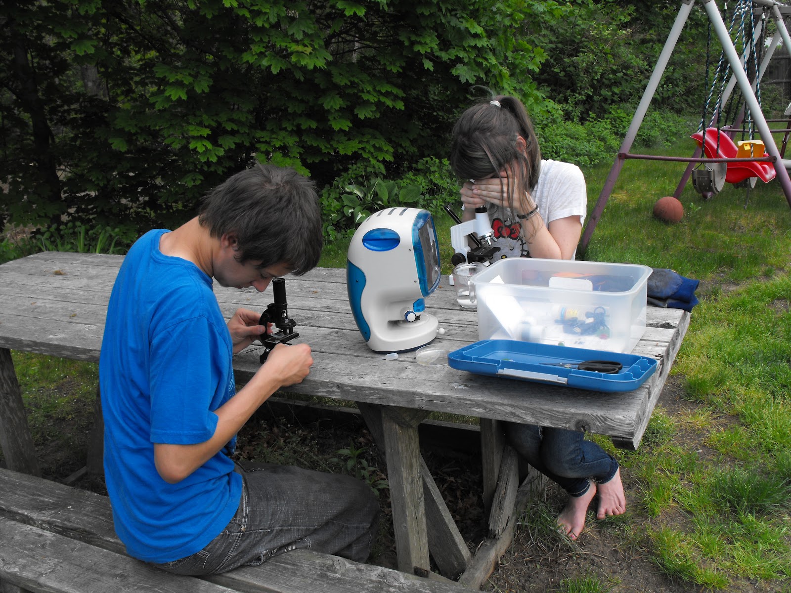 Home Learning Family Going Sane: Backyard Science