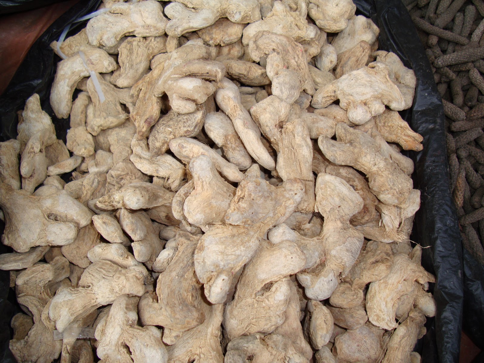 Taste of Nepal: Ginger - Aduwa or Adua - (अदुवा)