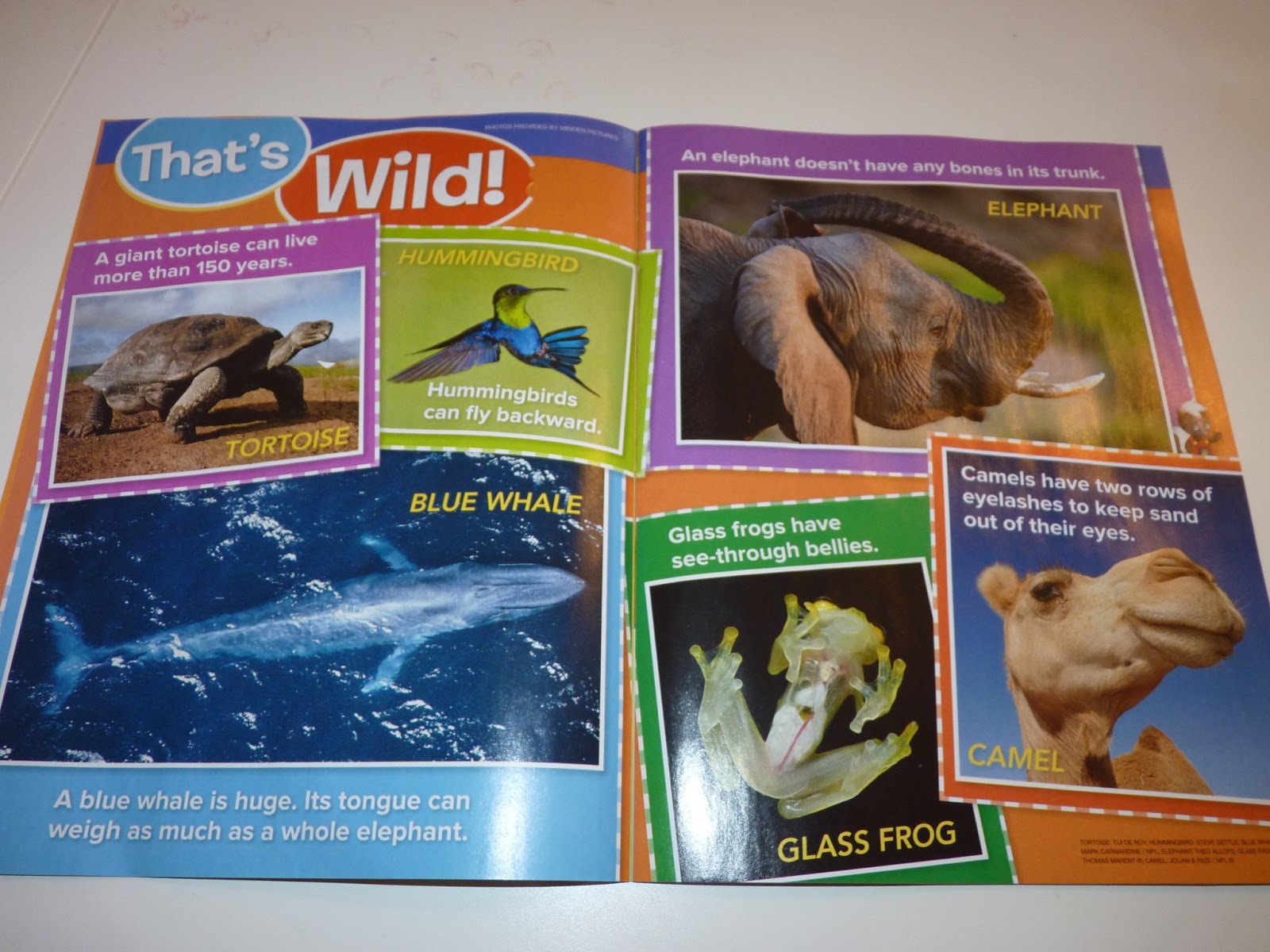 Love You Something Fierce: Science Time!