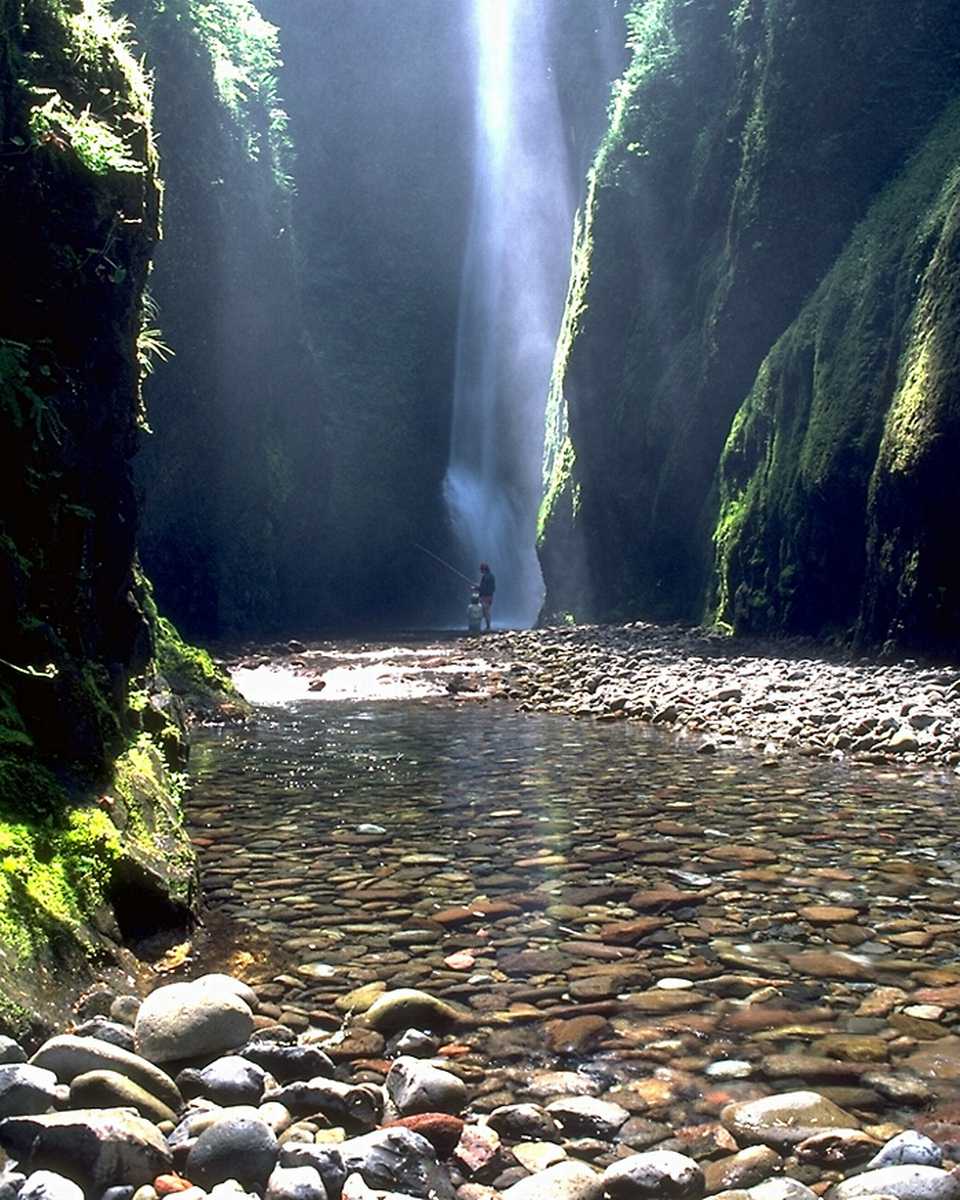 Picture gallary: Natural Beauty 4