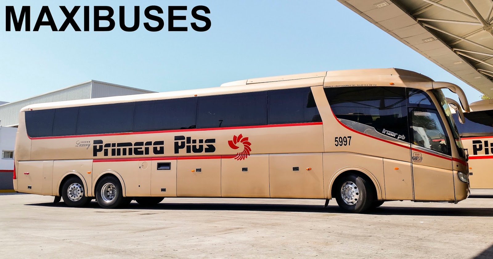 MAXIBUSES: PRIMERA PLUS
