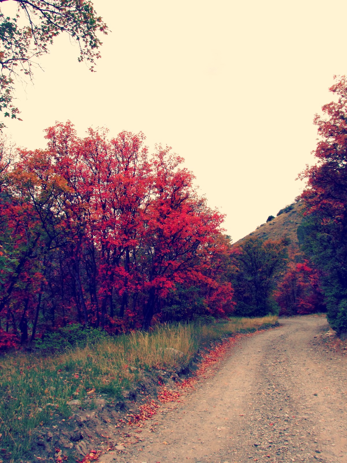 Life is a Beautiful Mess : Autumn in the Country