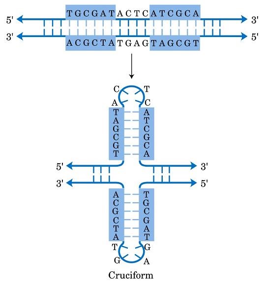 Biologia Molecular VI Sem.