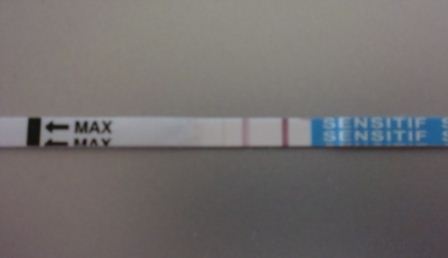 Rurin Mata Mbojo: Ragu Dengan Hasil Test Pack yang Samar? Ini ...