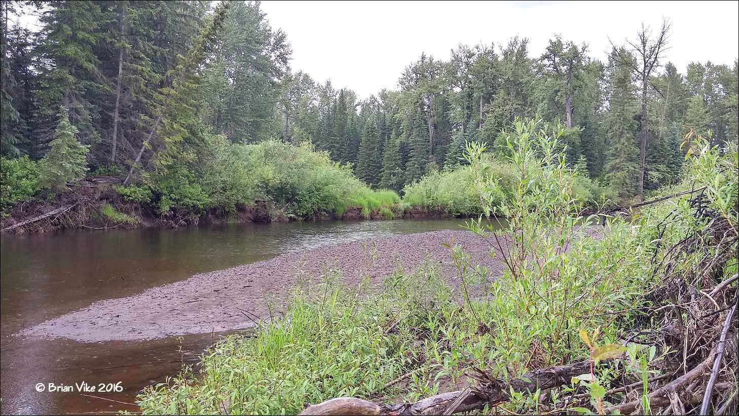 Northern Interior British Columbia: My Bulkley River 4 Houston British ...