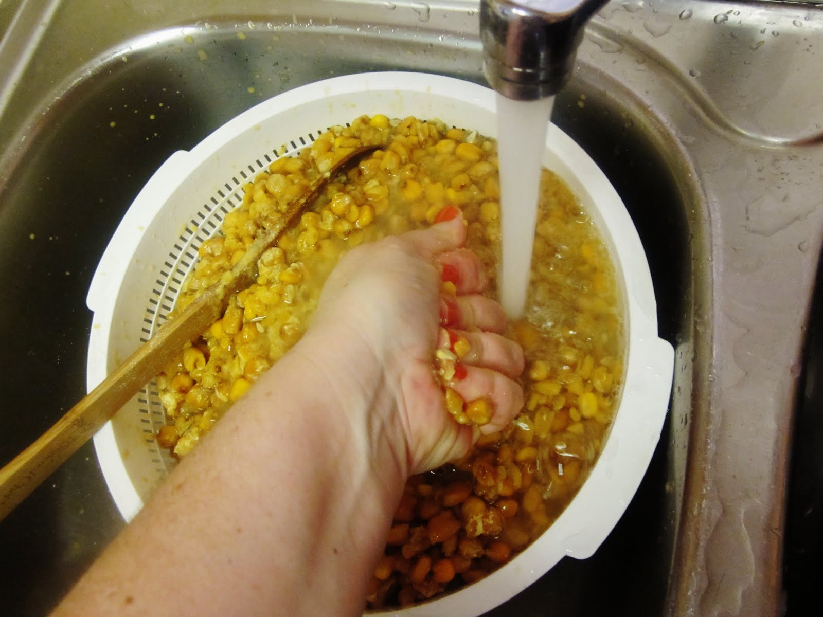 Chef Tess Bakeresse: Fresh Corn Masa from Dry Corn and Homemade Corn ...