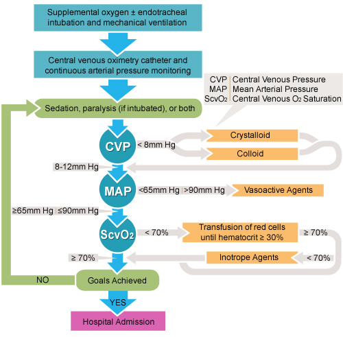 Emergency Medicine: ED Management of Sepsis & Septic Shock