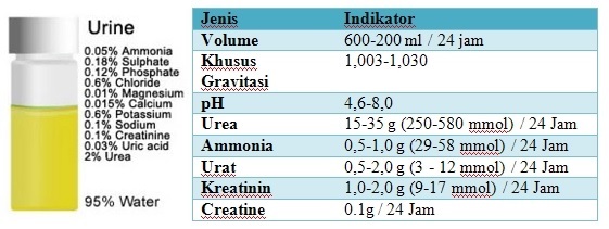 ANURIA - KREATININ BERLEBIH - Biology Page