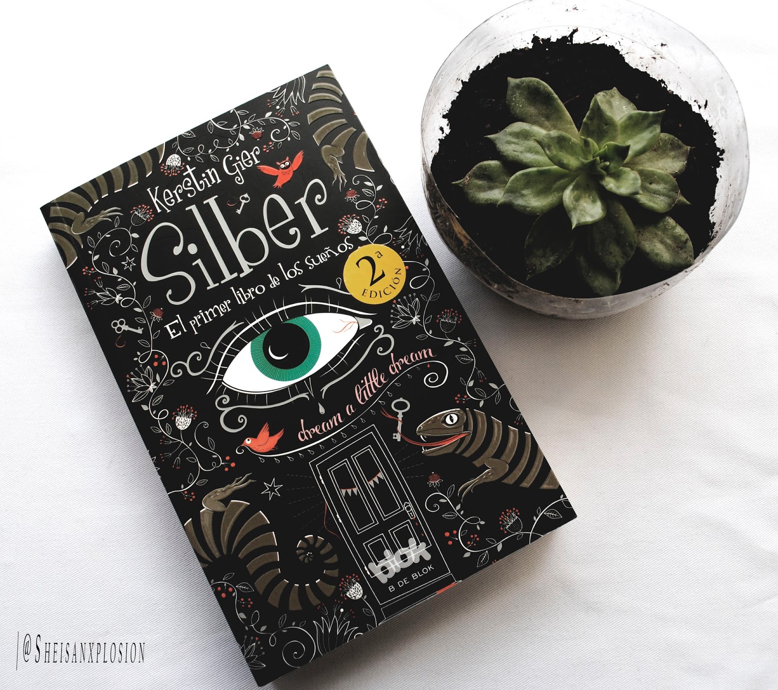 Reseña | #1 Silber, El Primer Libro de los Sueños - Kerstin Ger - Drama ...