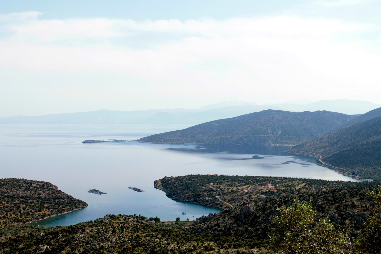 ΠΟΛΙΤΙΣΤΙΚΟΣ ΣΥΛΛΟΓΟΣ ΔΕΣΦΙΝΑΣ "Η ΠΡΟΟΔΟΣ": ΕΠΙΣΚΕΦΘΕΙΤΕ ΤΗ ΔΕΣΦΙΝΑ