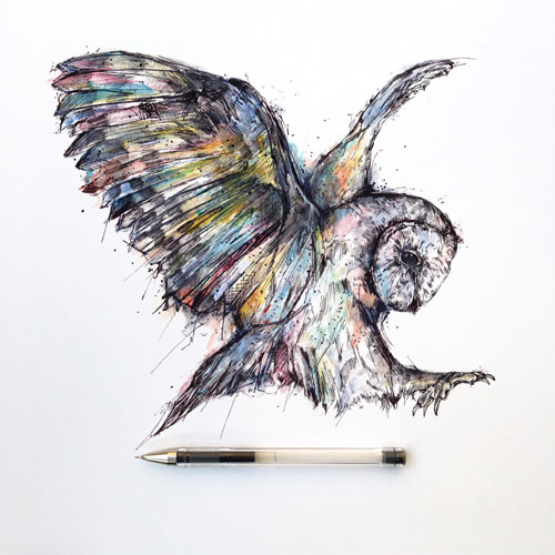 My Owl Barn: Drawings by Alfred Basha