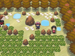 Turismo Pokémon: Pinwheel Forest, Skyarrow Bridge e Castelia City (Parte 1)