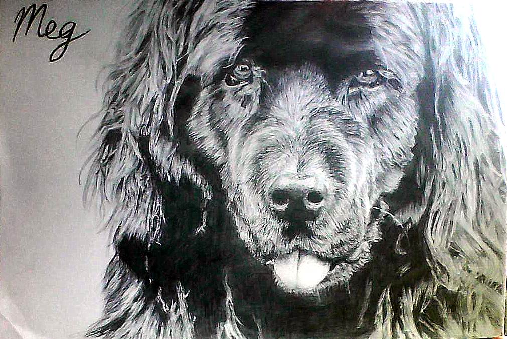 Meg's Art Hub: The most detailed drawing I've done so far ...