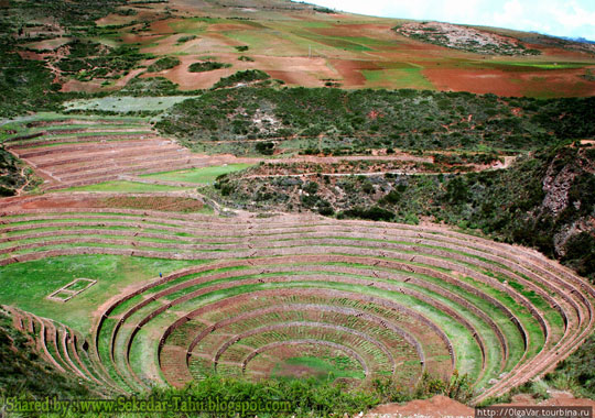 THINK SMART ヘ(^_^ヘ)(ノ^_^)ノ: Sawah Terasering Peninggalan Suku Inca ...