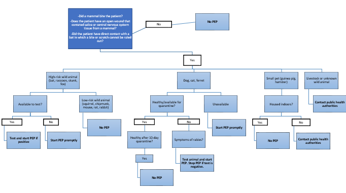 AAEM Resident and Student Association : Board Review: Rabies Exposure