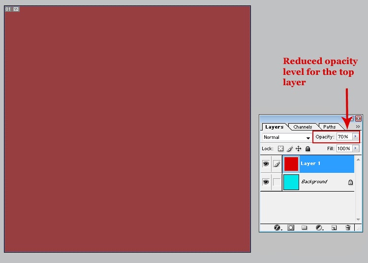 Functionality of Step Backward in Photoshop ~ Infotech-Easy