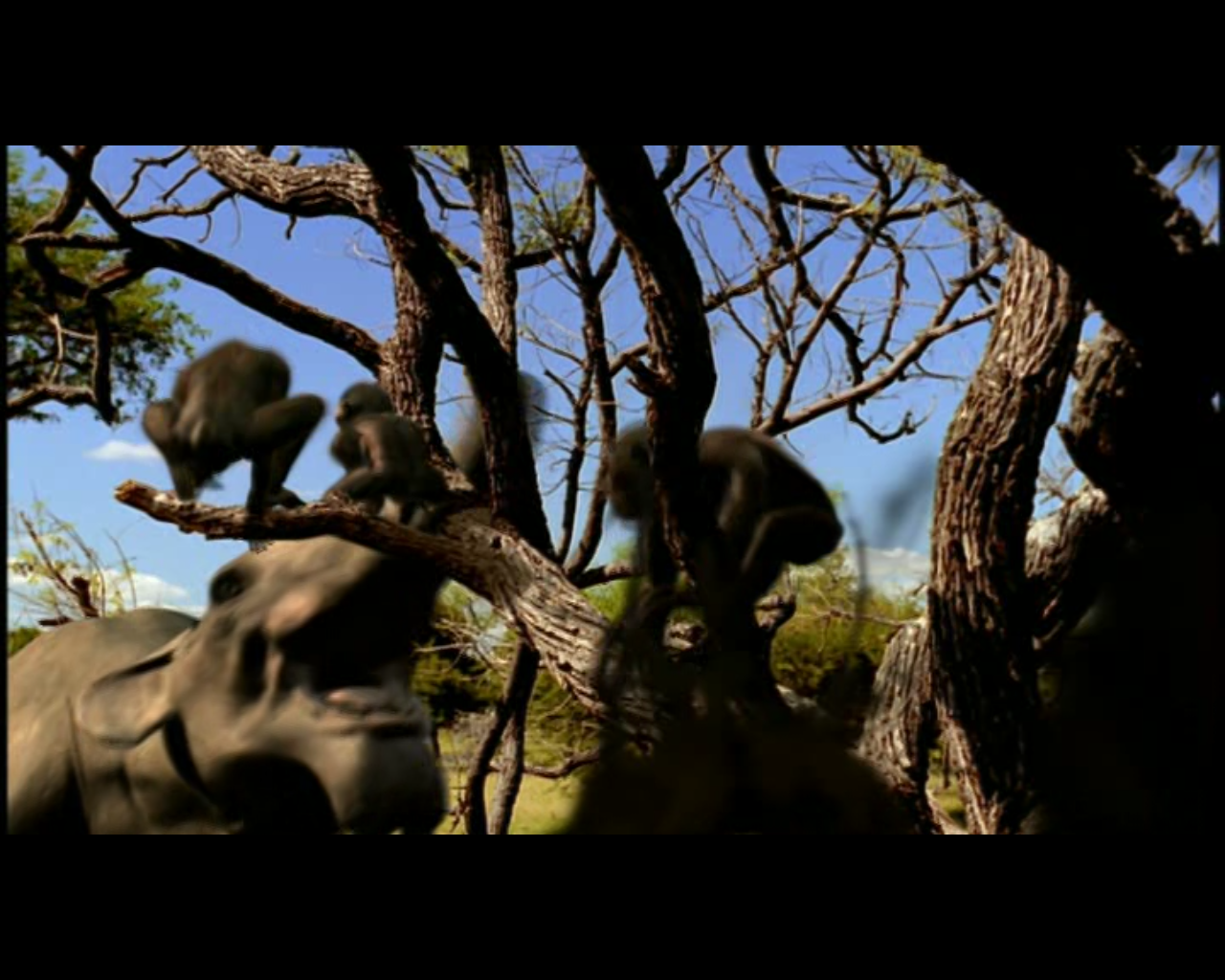 What happens when a non-accredited paleontology fan blogs: Documentary ...