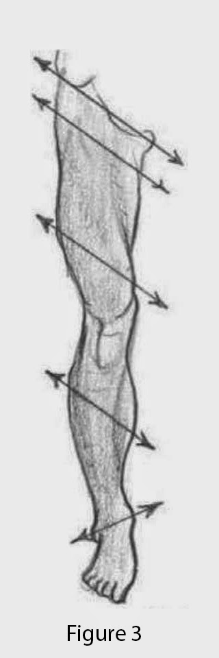 Drawings: SKETCHING THE LEG FRONT VIEW