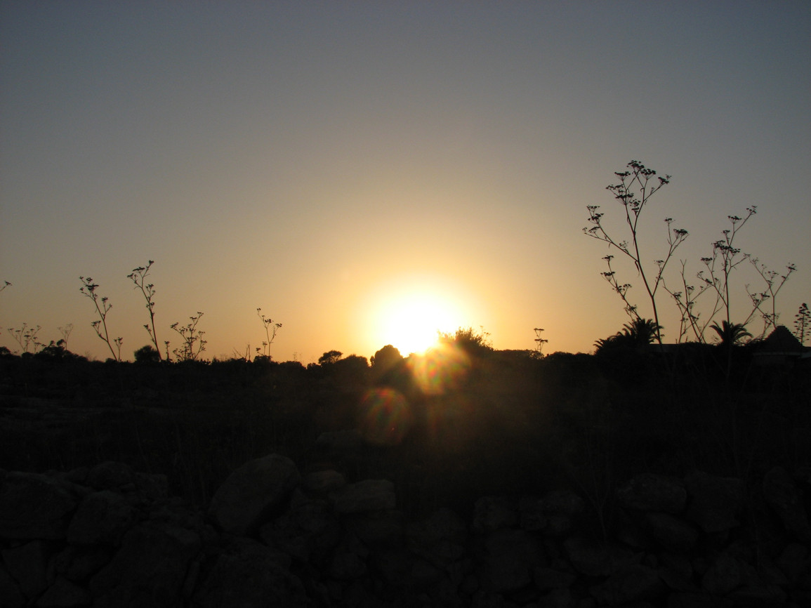 Lejla Maltija: Qalb il-Buzbiez