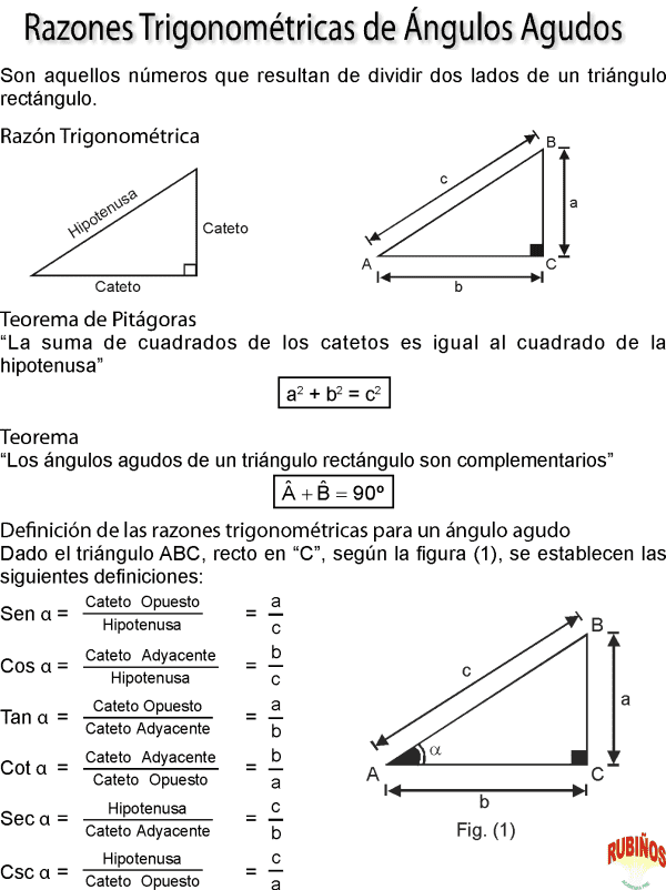 Razones Trigonométricas de Ángulos Agudos Explicaciones y Ejercicios ... Razones Trigonométricas de Ángulos Agudos Explicaciones y Ejercicios ...